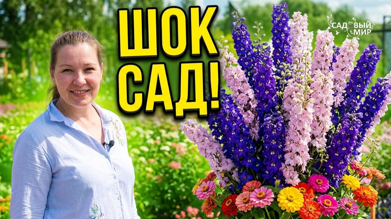 ЦВЕТЫ