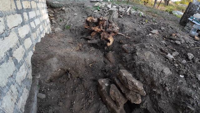 Мой дом 2026год.