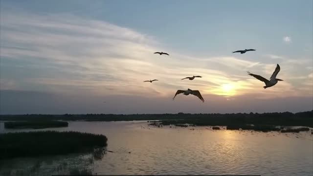 Авторские песни
