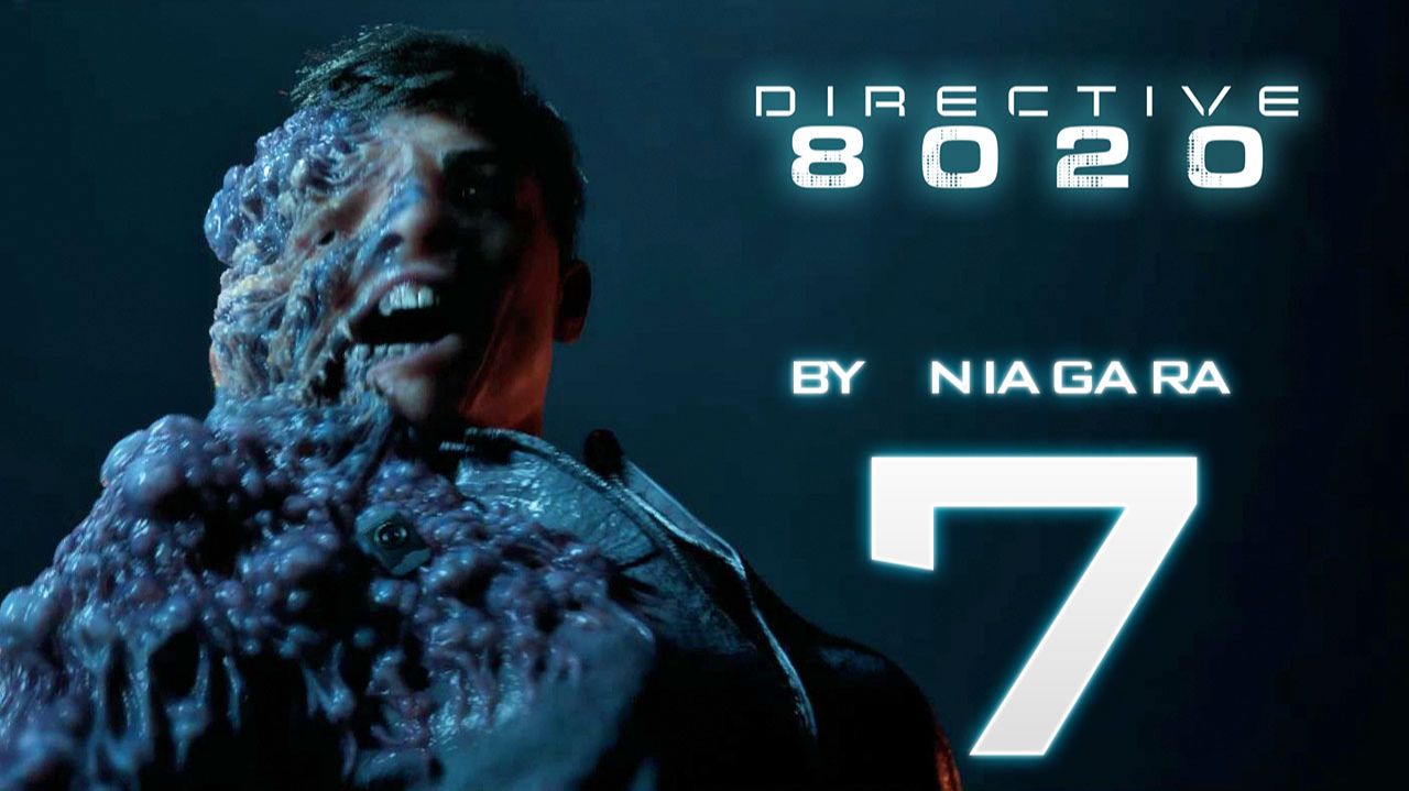 DIRECTIVE 8020
