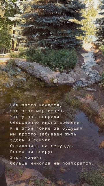 Лайфстал