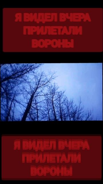 ЛАЙНРАУМ (всё)