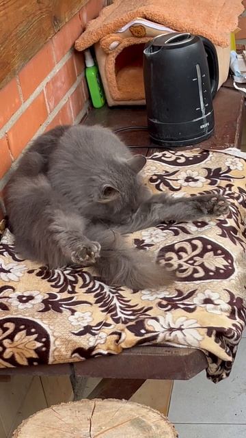 Разное