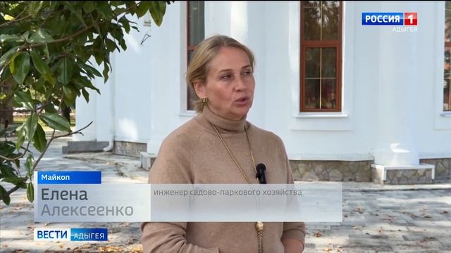 СМИ о нас