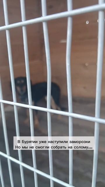 НУЖЕН КУРАТОР