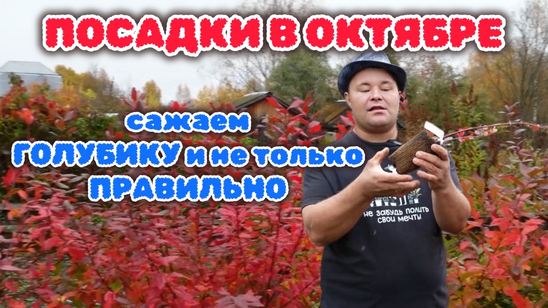 ОГОРОД