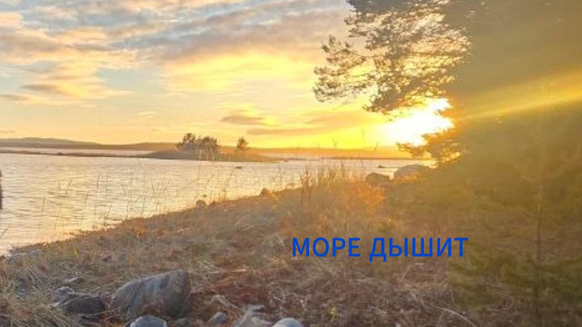 Звуки музыки