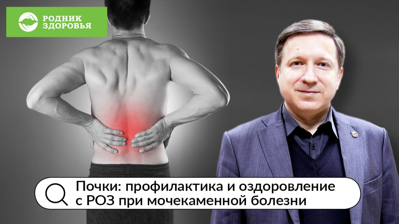 Лекции экспертов и специалистов