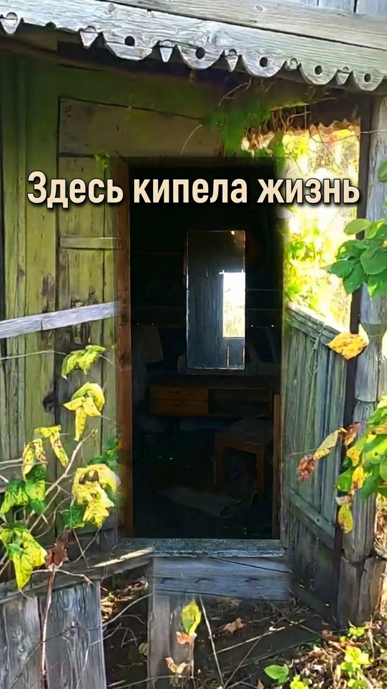 Природа рядом