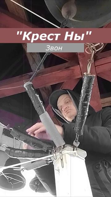 Шорты