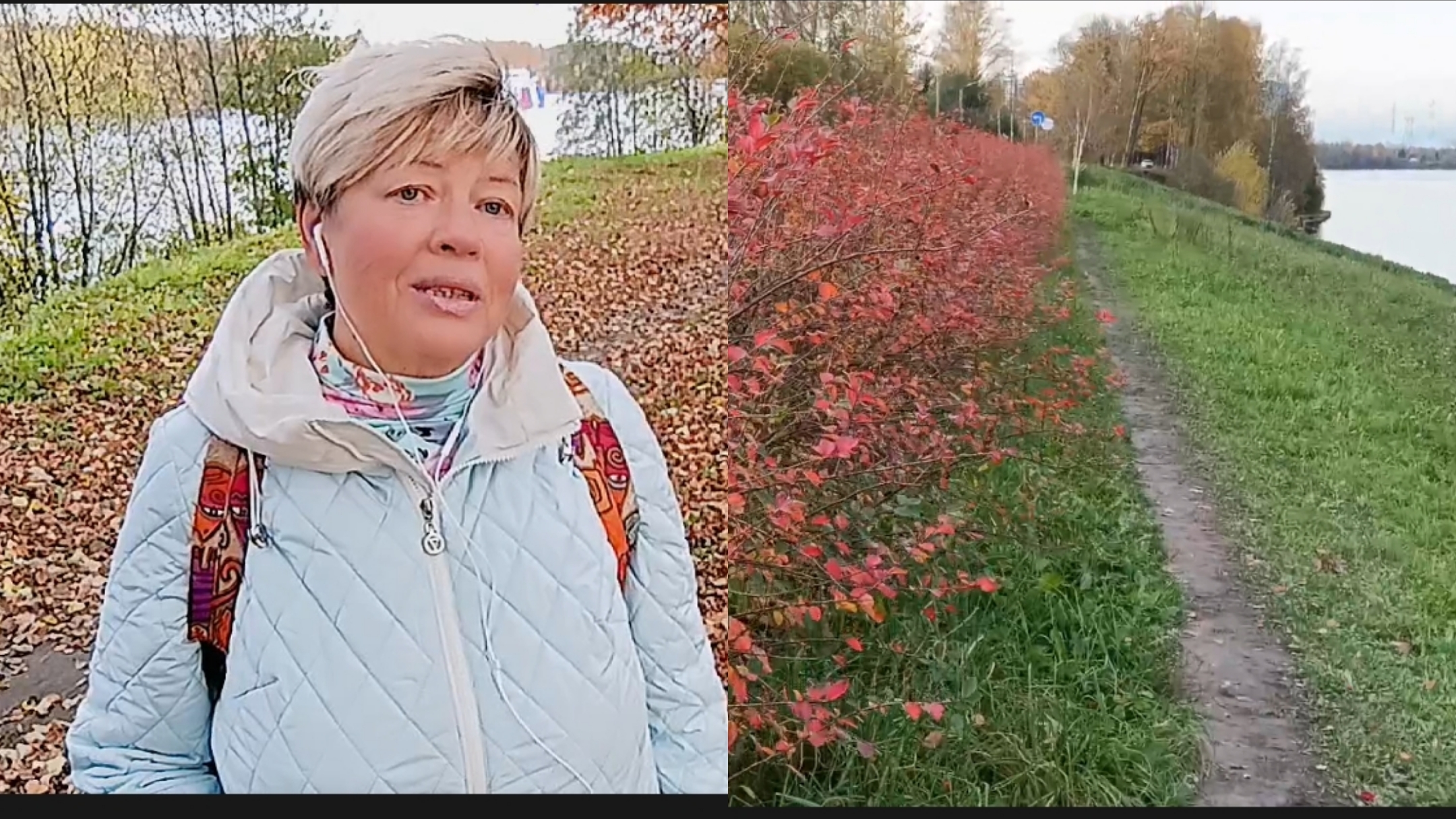 влог