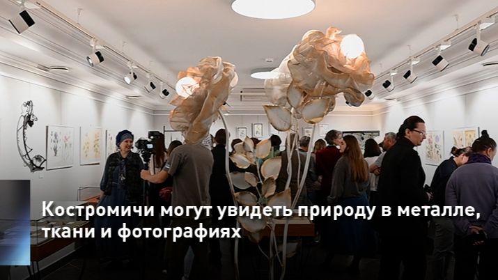 Новостные сюжеты