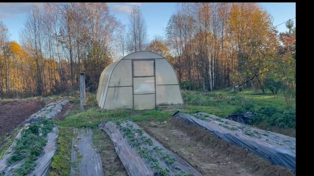 Сад и огород