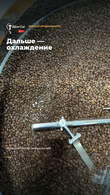Ростеры