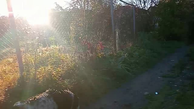 ПОМОЩЬ БЕЗДОМНЫМ.