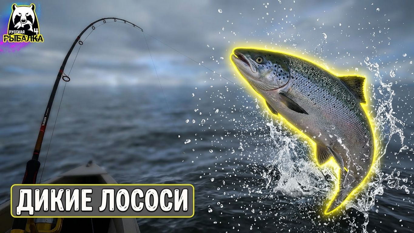 Рыболовные будни
