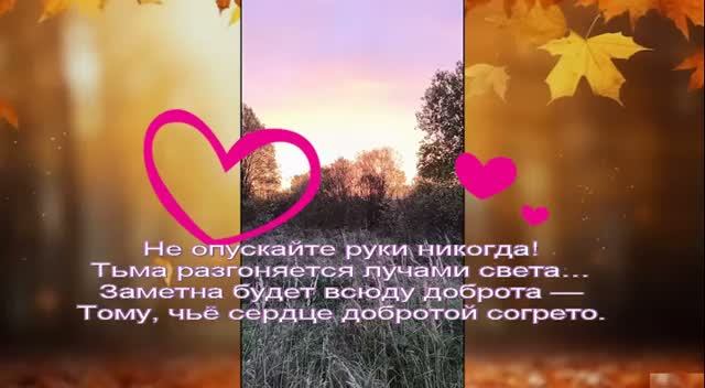 мудрость через века