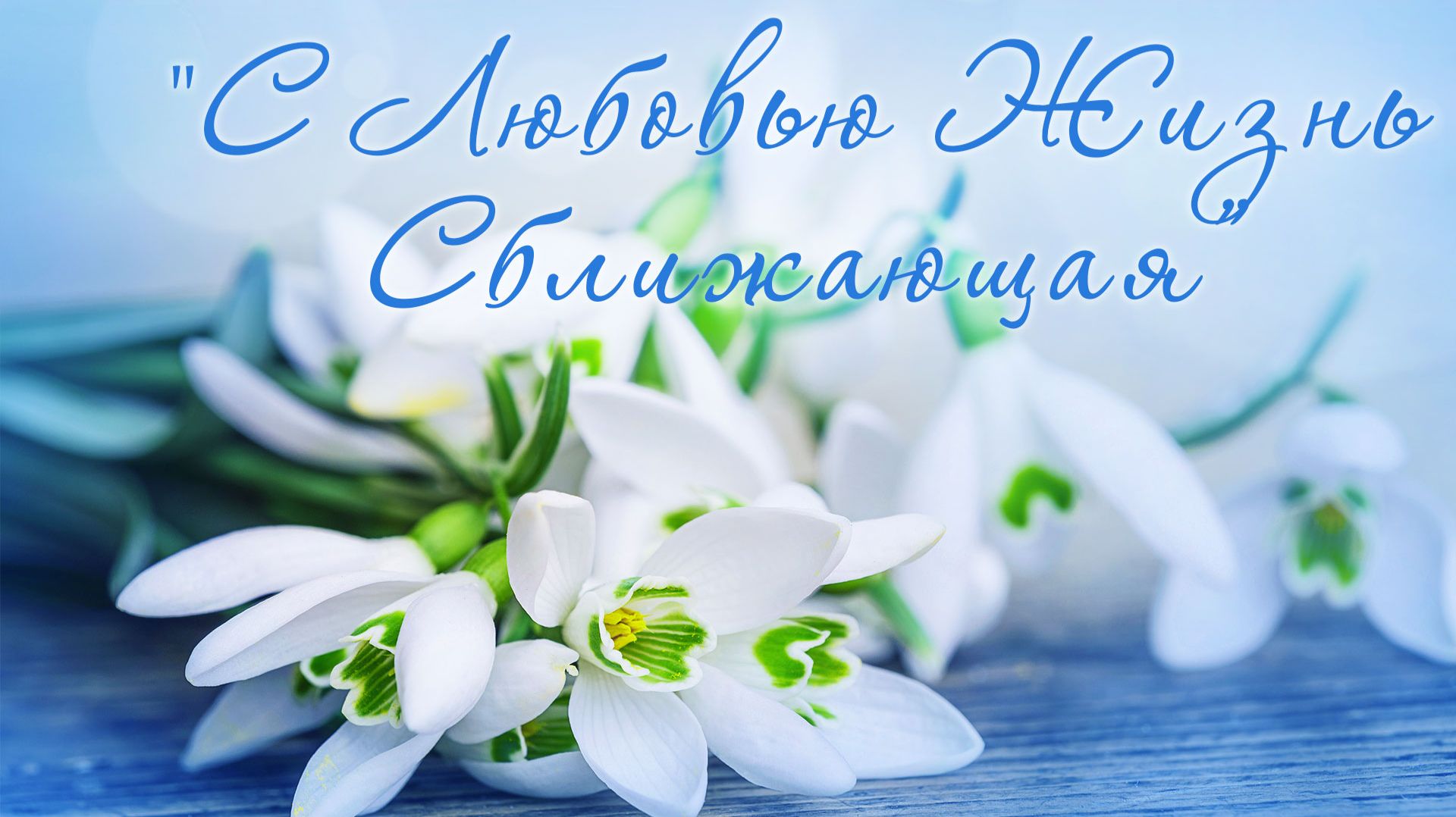 Выступления