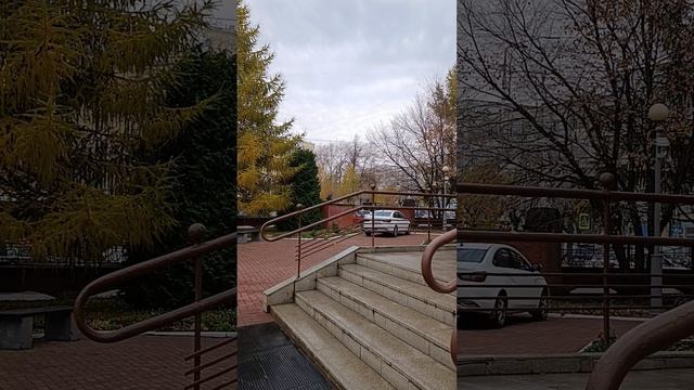 Город в котором я живу