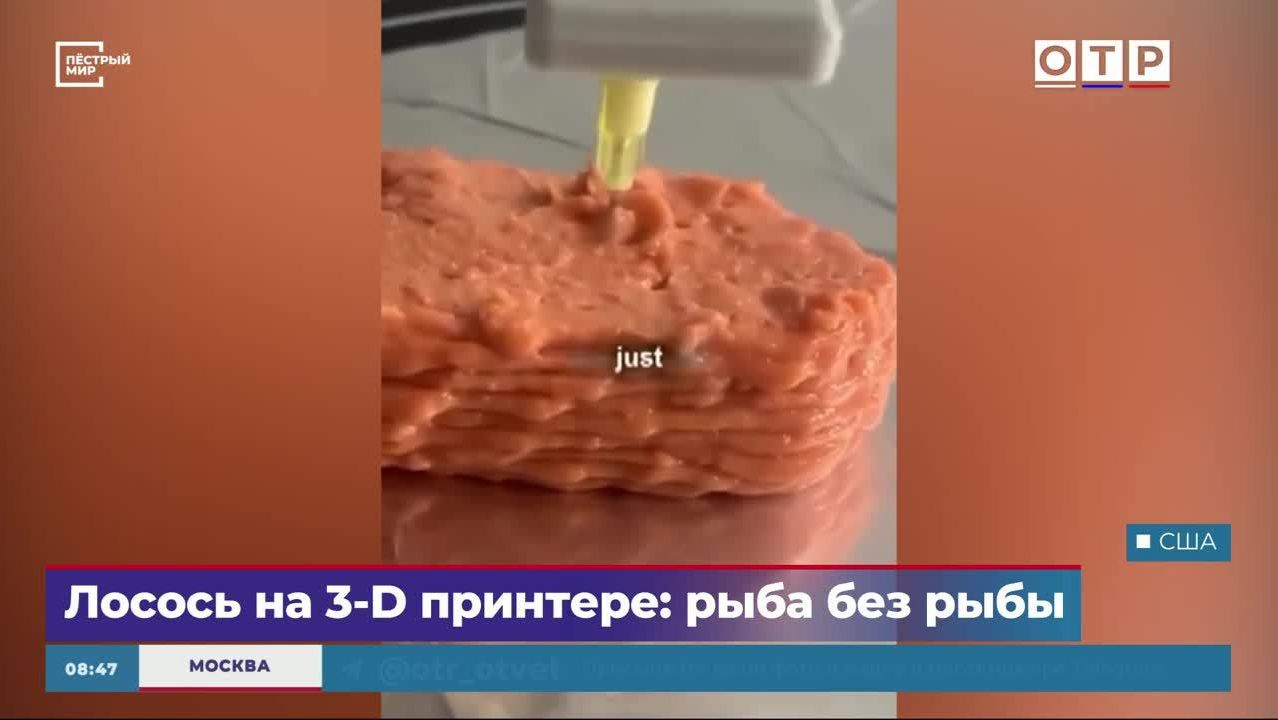 Пёстрый мир