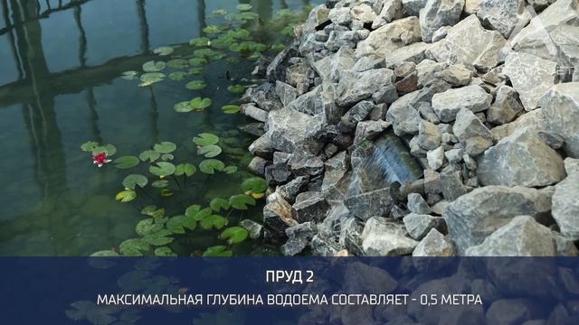 Наши работы