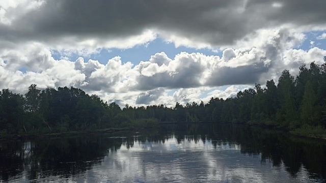 Сплавы общее