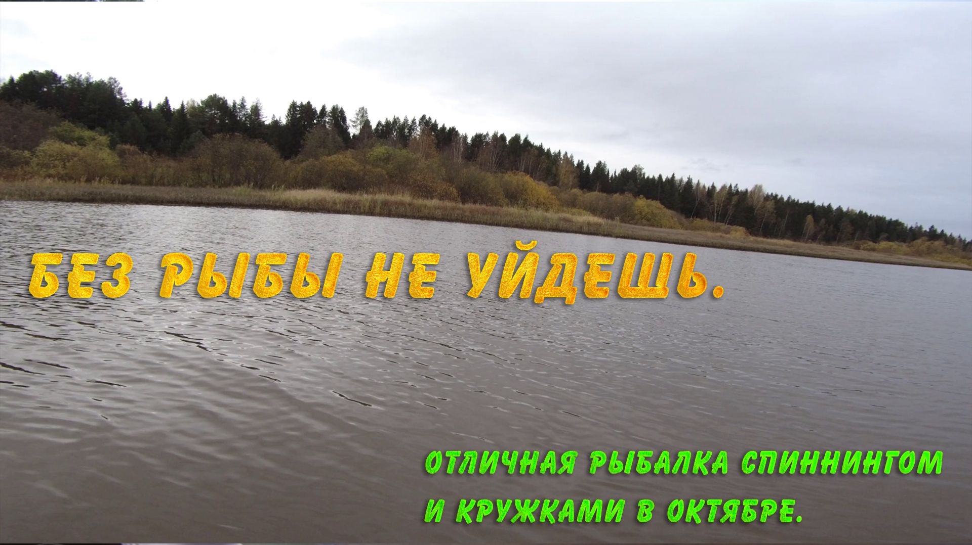 Всё о рыбалке спиннингом