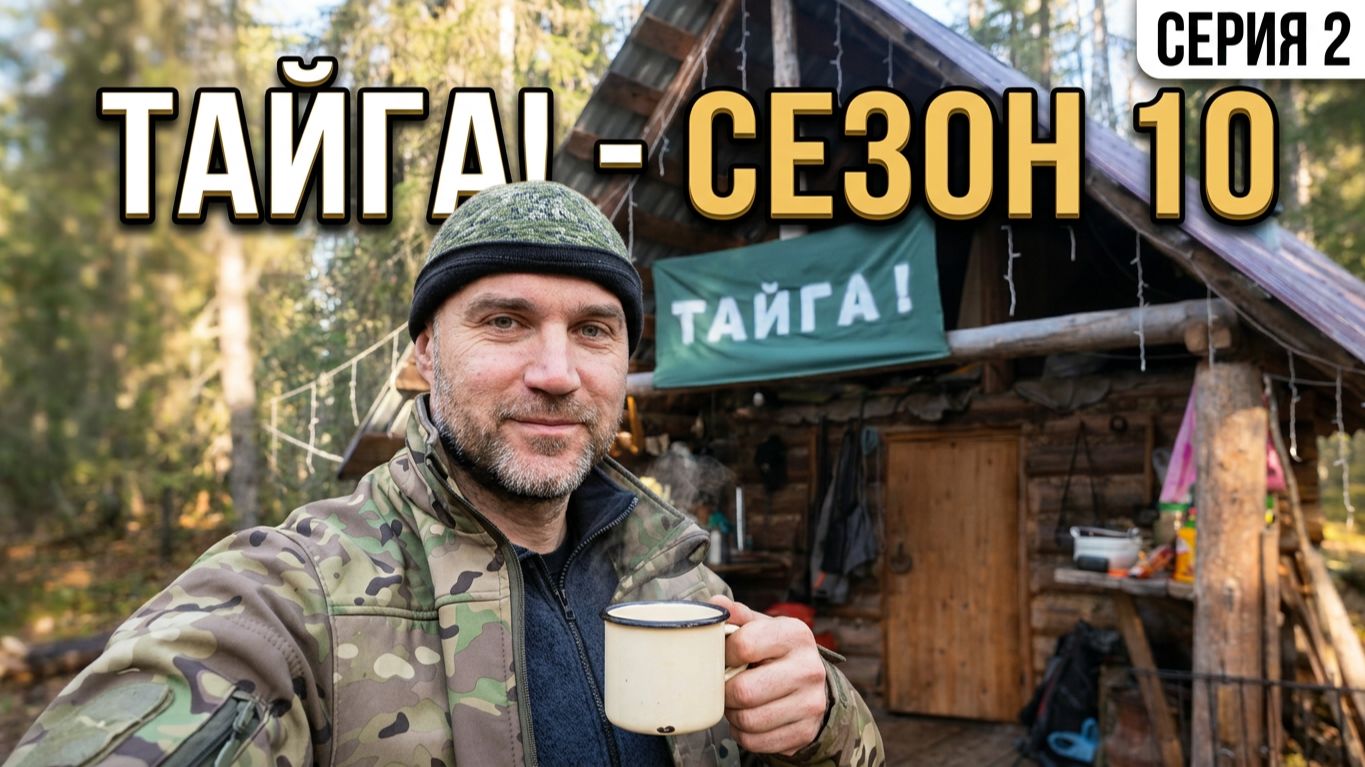 Жизнь в лесу
