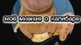 моё мнение