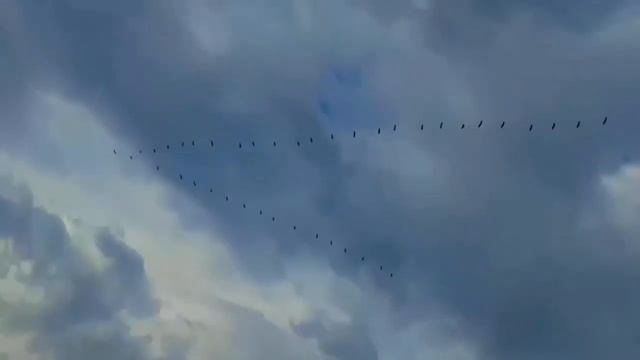 Реки, Озёра, Водоёмы, Степи, Луга, Горы, О ПРИРОДЕ