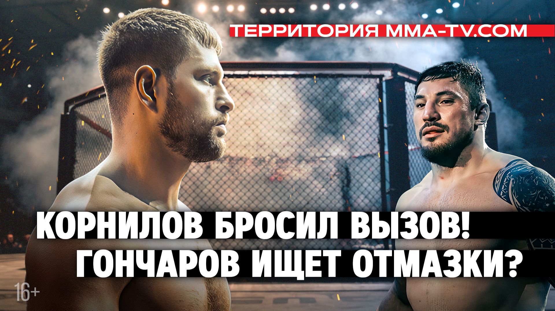 Территория MMA-TV.com