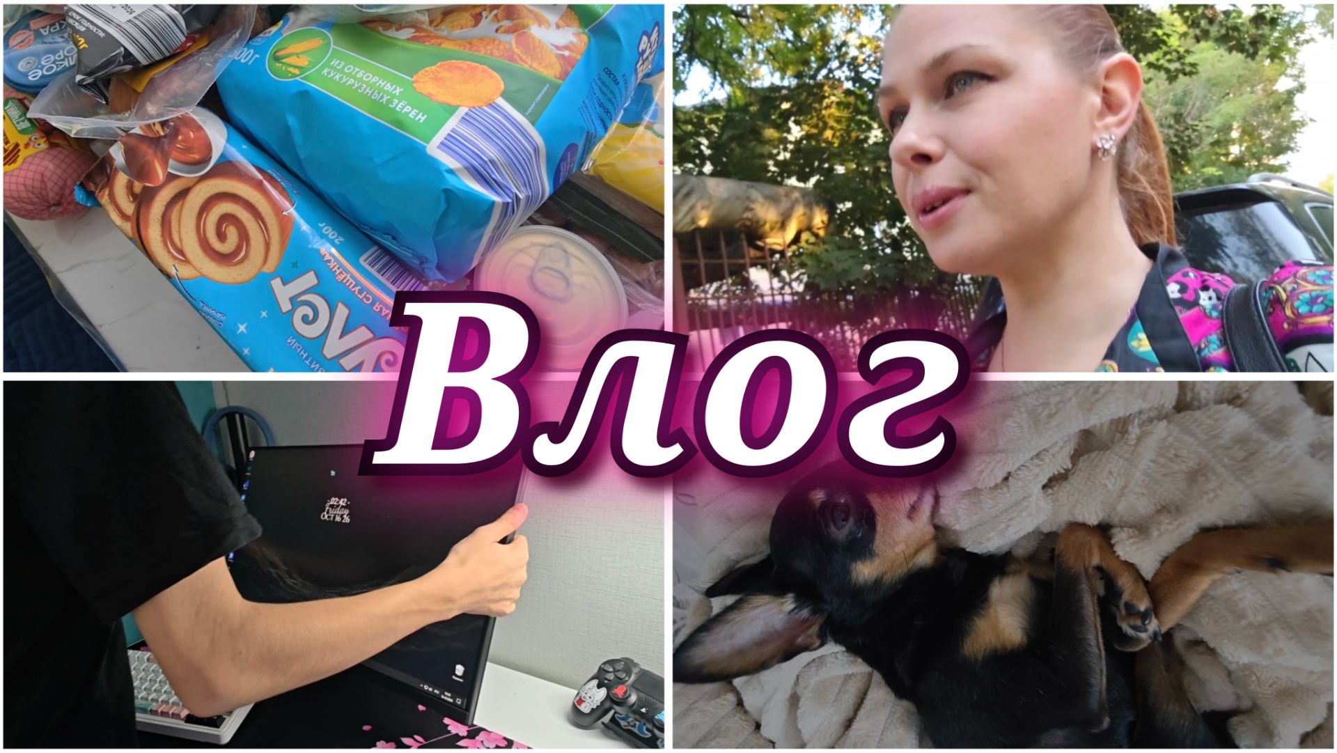 Влоги LIFE