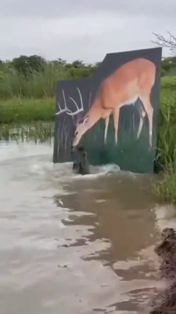 Юмор 9 часть