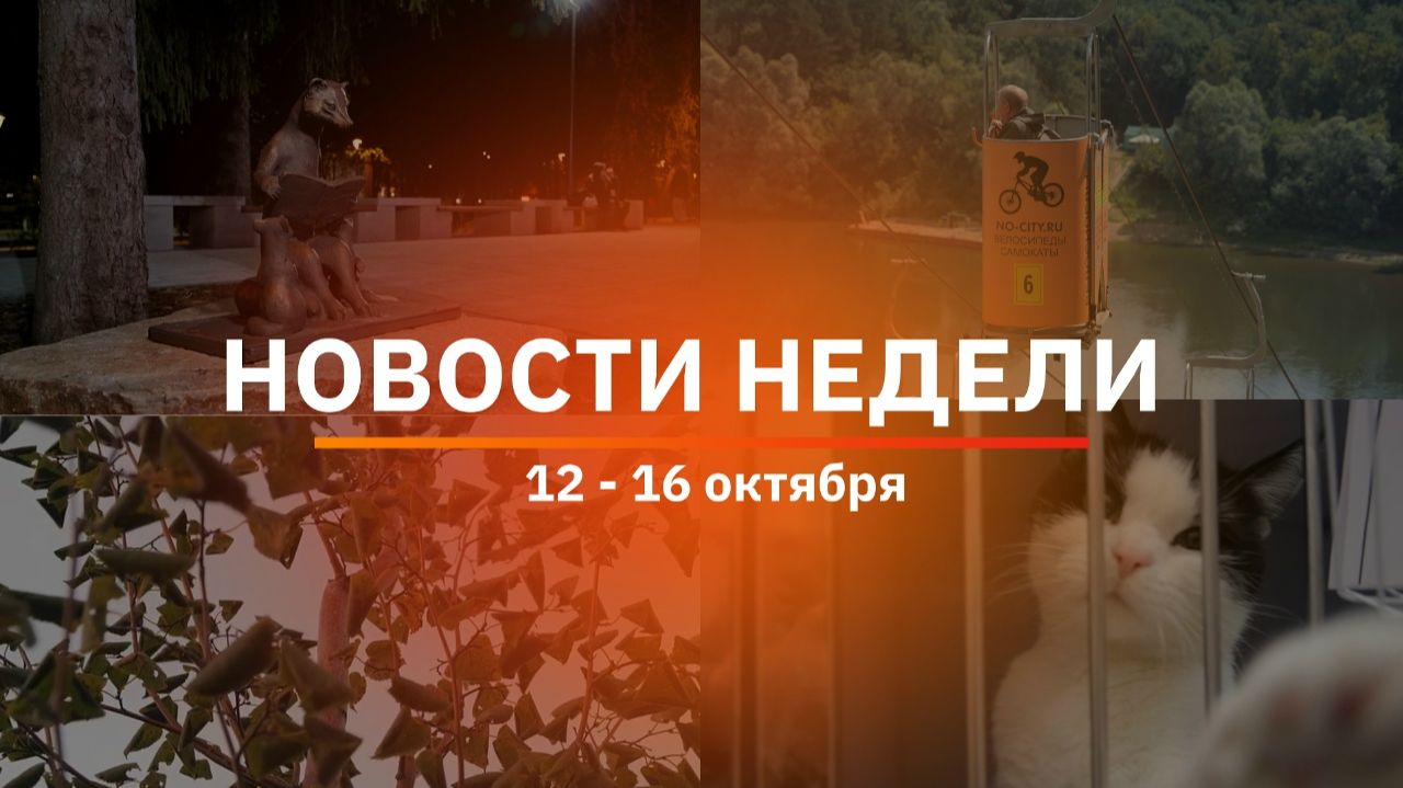 Новости