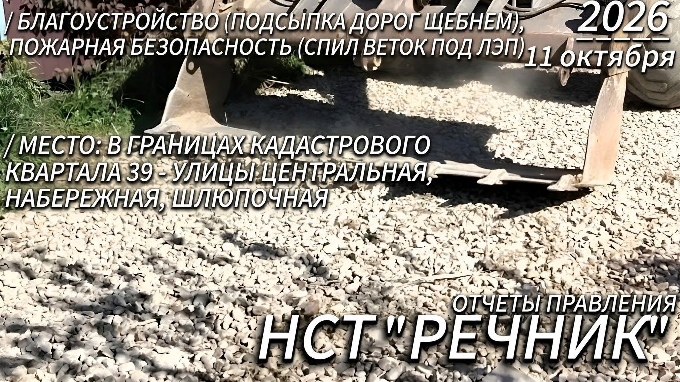 Отчеты Правления