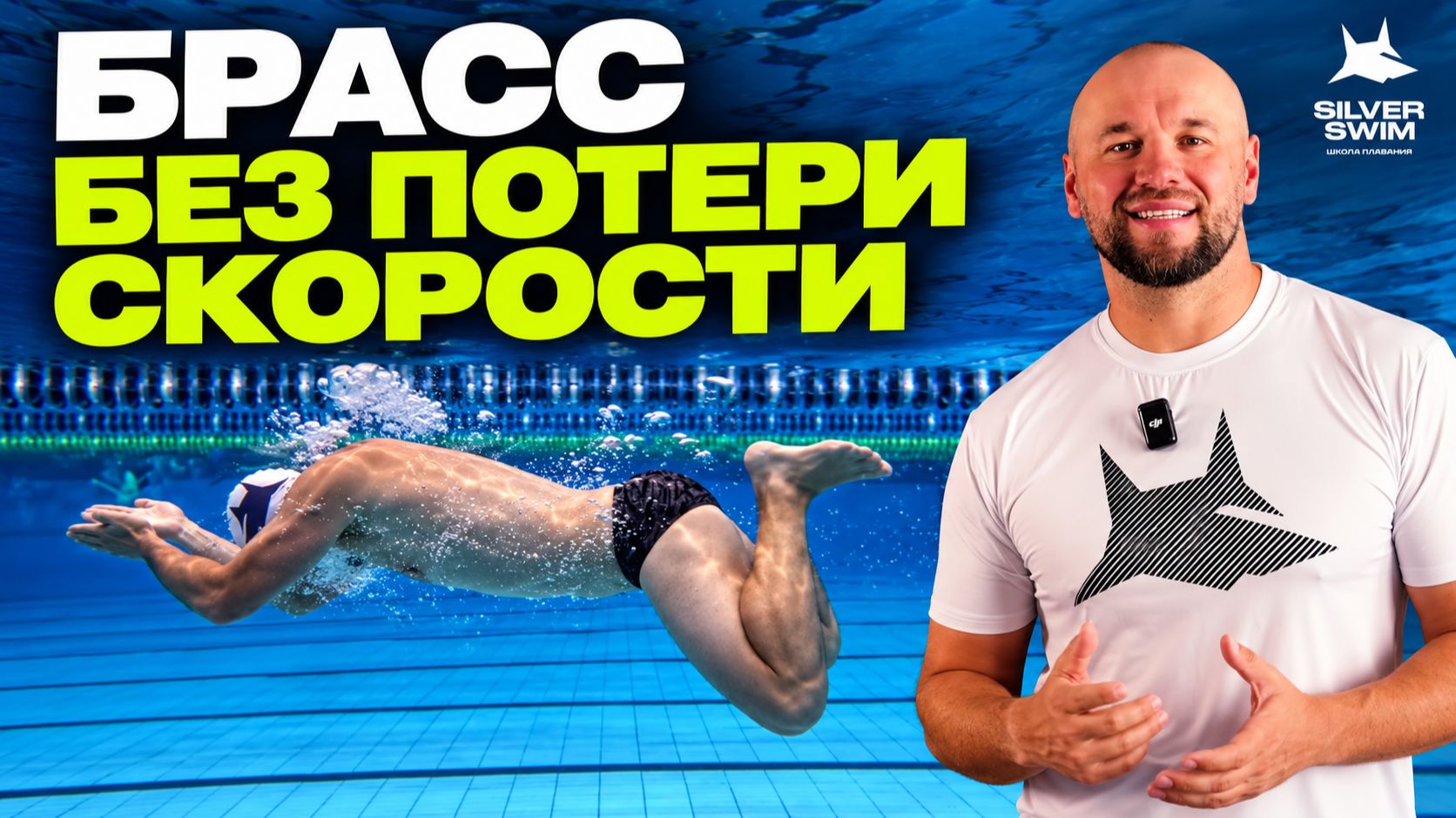 Брасс