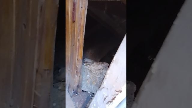 Чендер первый сезон