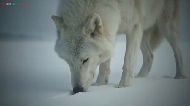 Eldruna