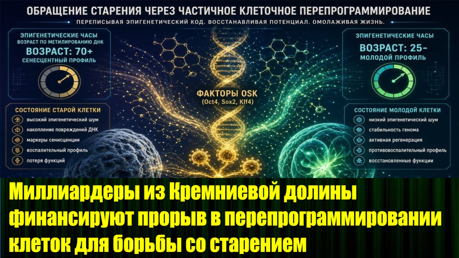 Технологии