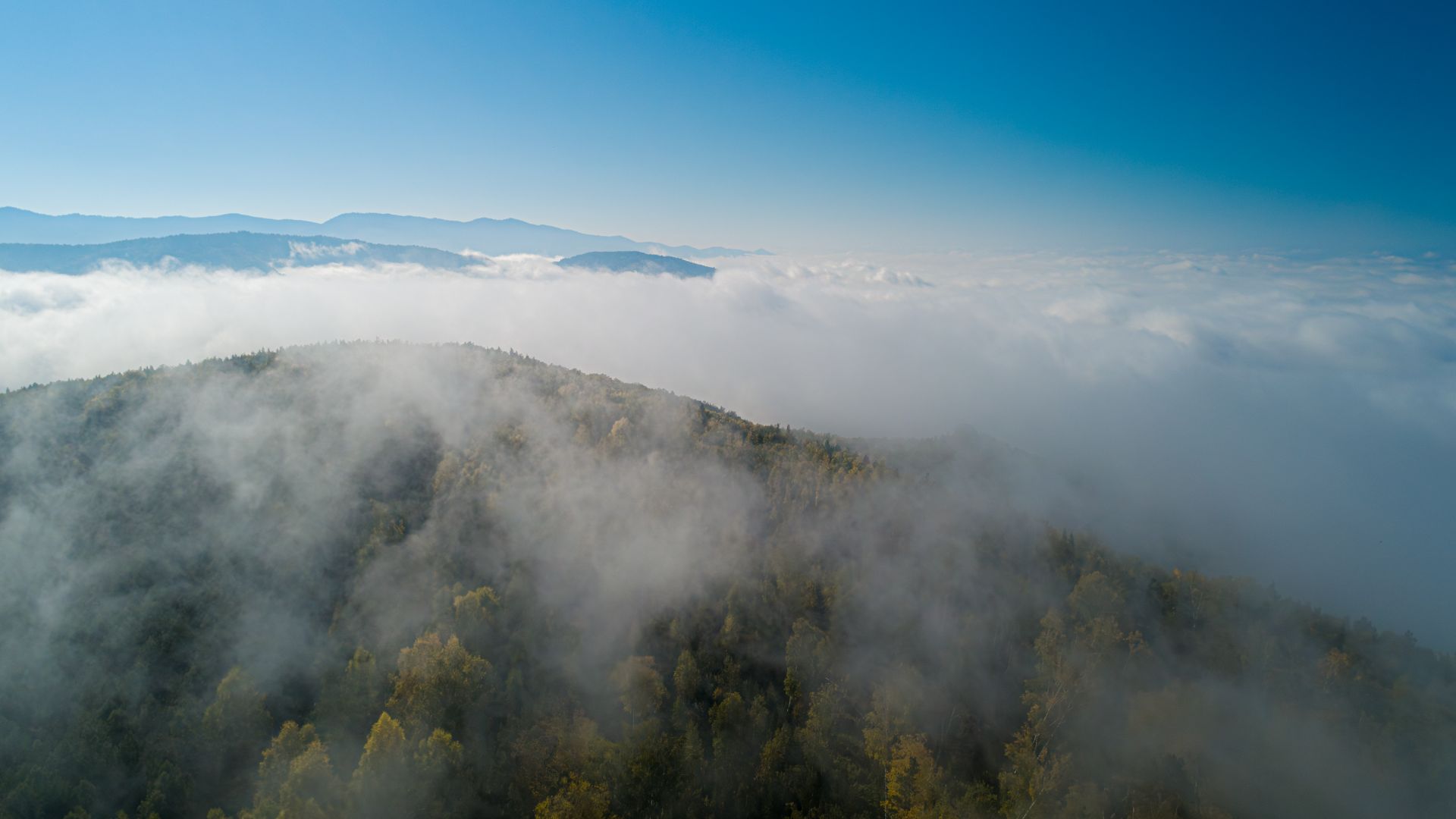 Природа Алтая
