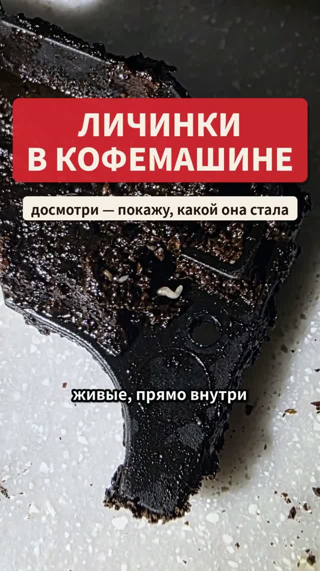 Что внутри кофемашины: плесень, грязь, личинки