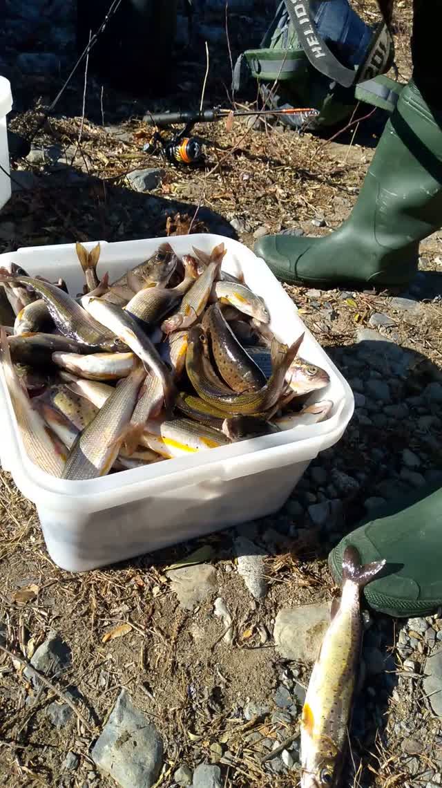 Рыбалка на реке Амур, Вот это настоящая рыбалка