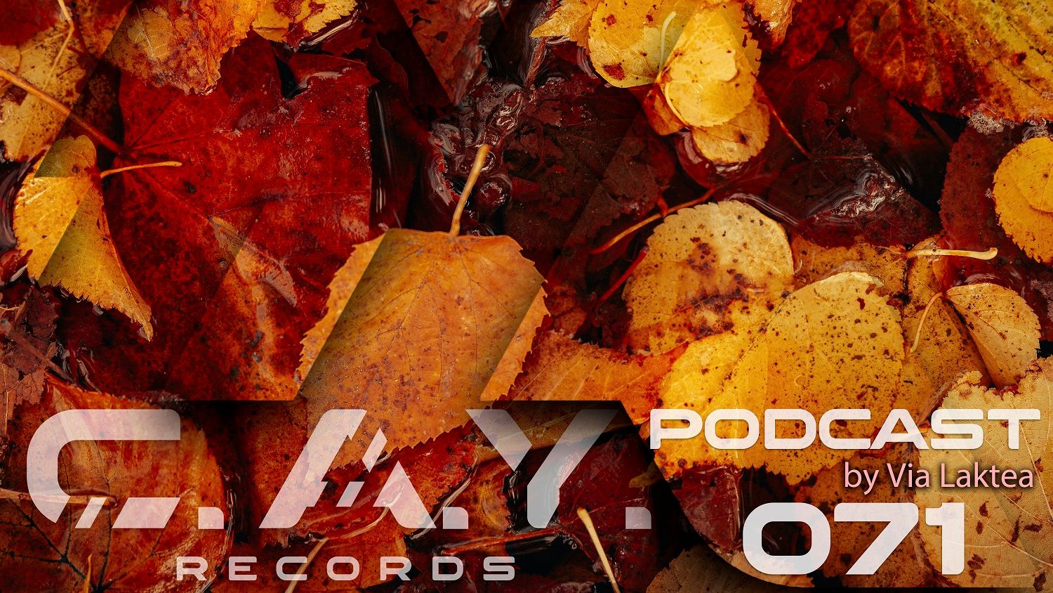 C.A.Y. Records podcast by Via Laktea
