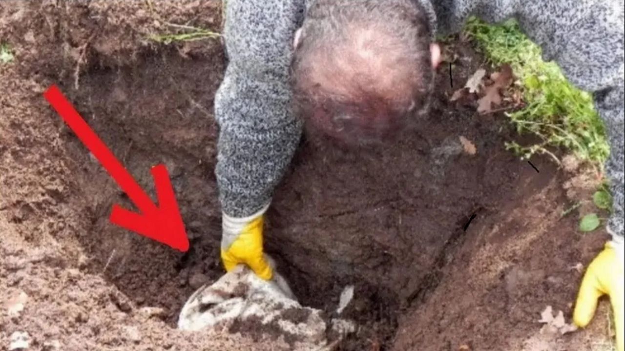 Супер Находки в Лесу и Поле!