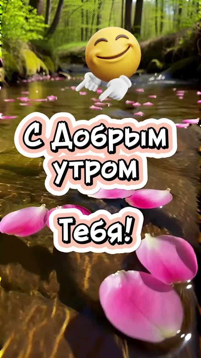 Развлечение