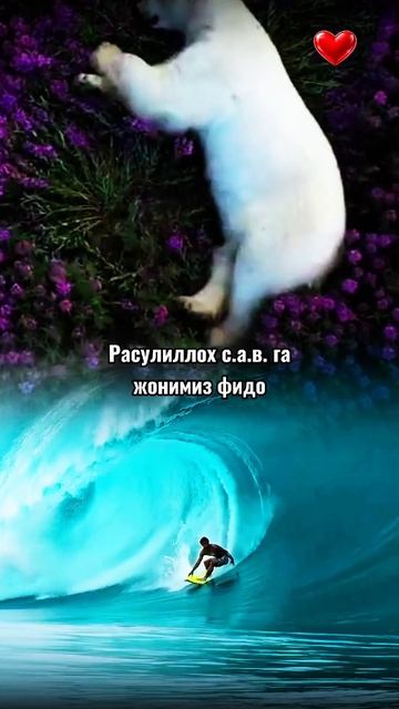 Ибратли ривоятлар