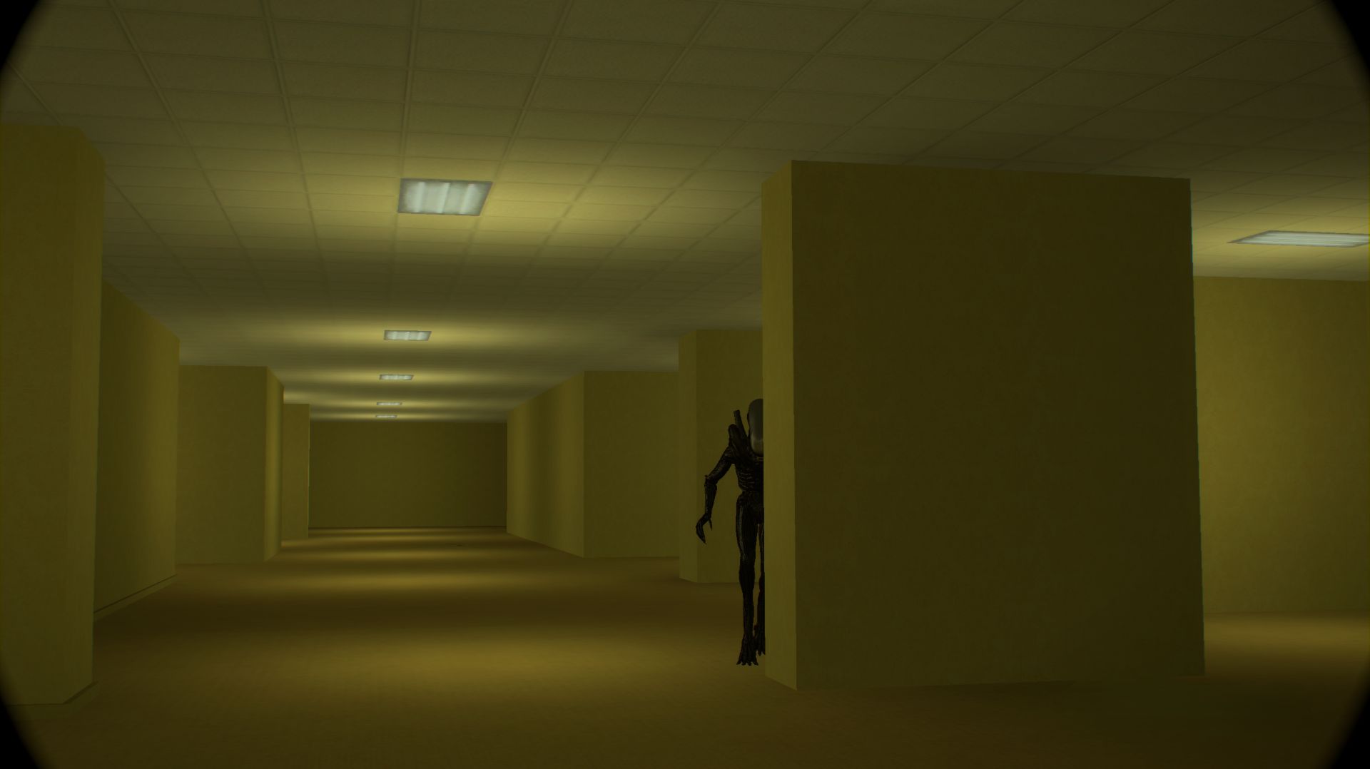 Garry′s Mod