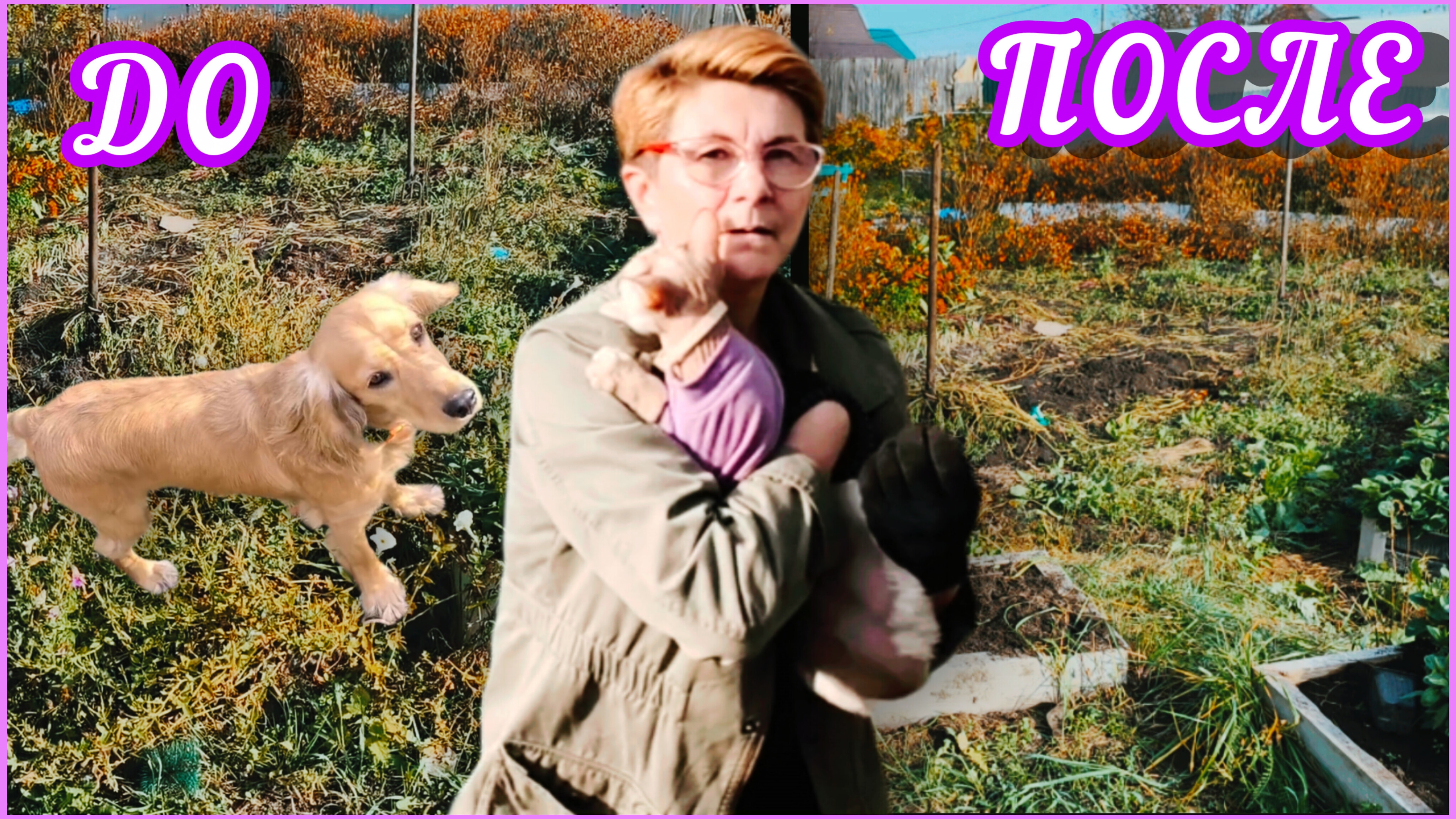Теплица, сад, огород!
