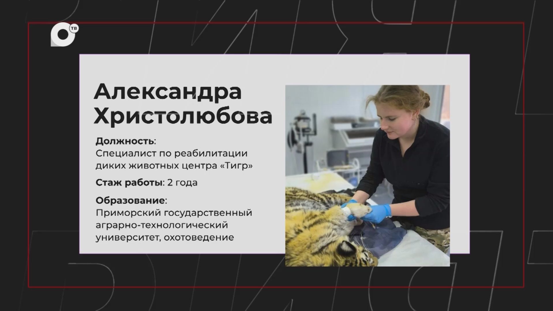 НЕРАБОТА