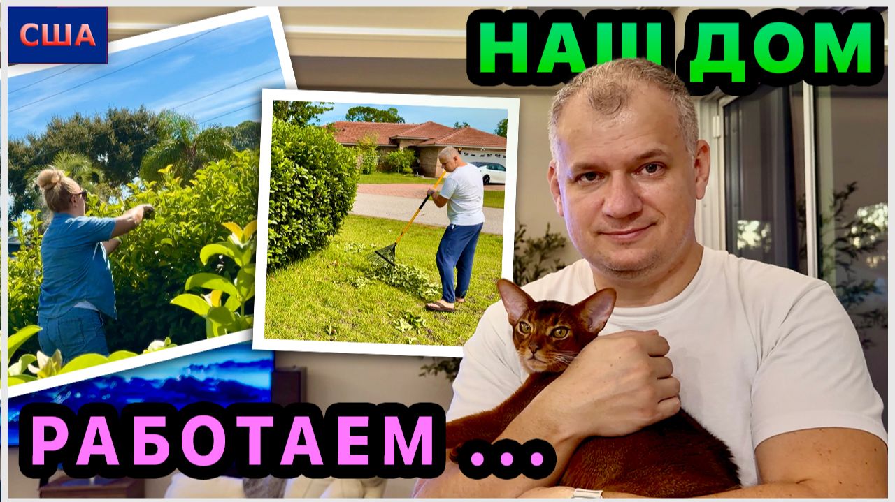 Жизнь в новом доме